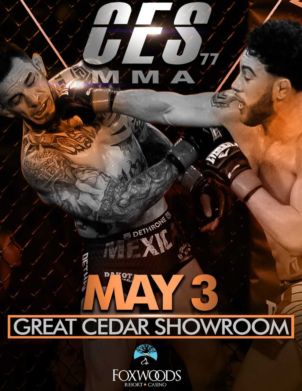 CES Fights – Classic Entertainment and Sports